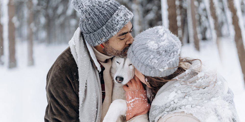 Por qué cuando estoy con mi perro soy más feliz - happypalmx