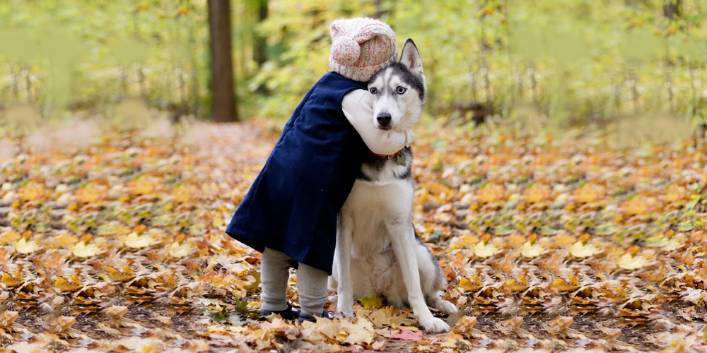 ¿Qué son los perros de apoyo emocional?